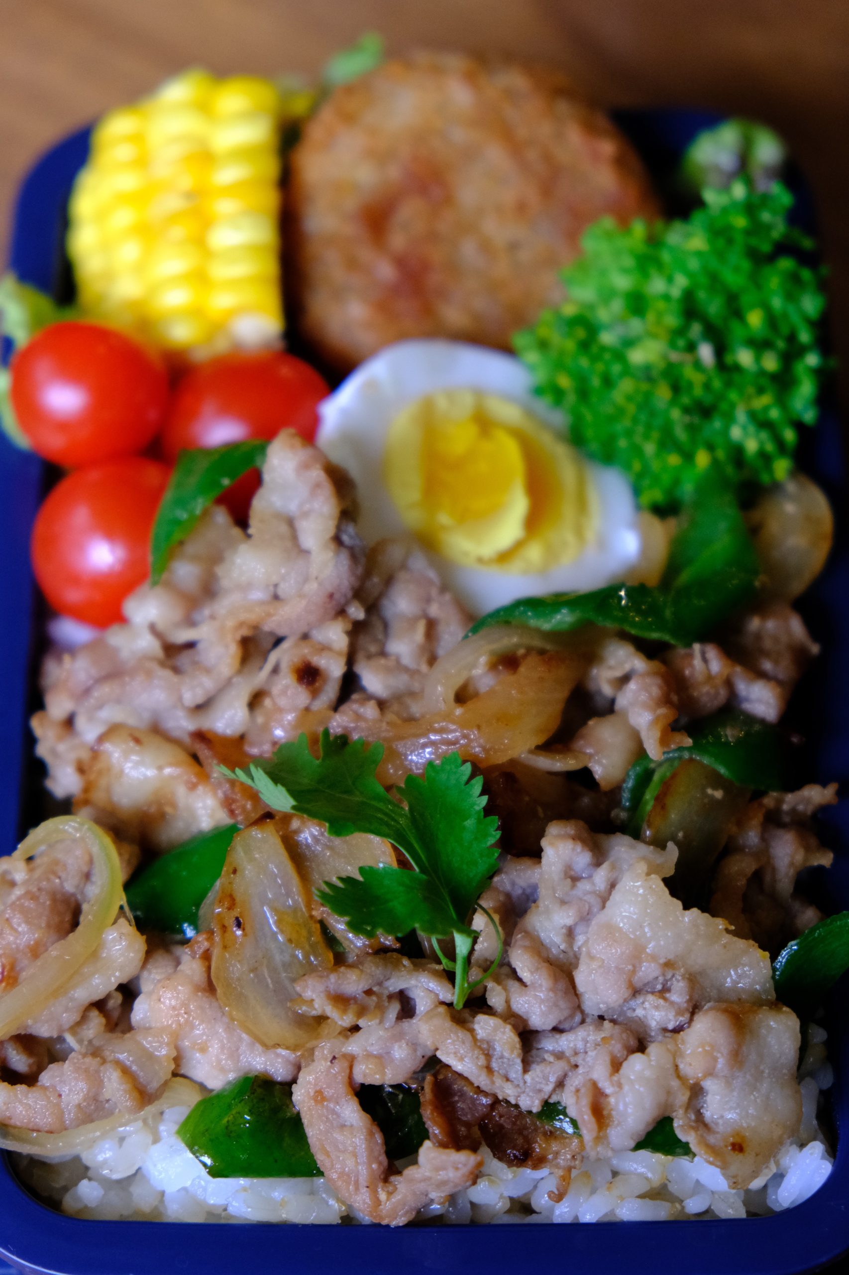 Day 41: Ginger Fried Pork bento – BENTO DAYS